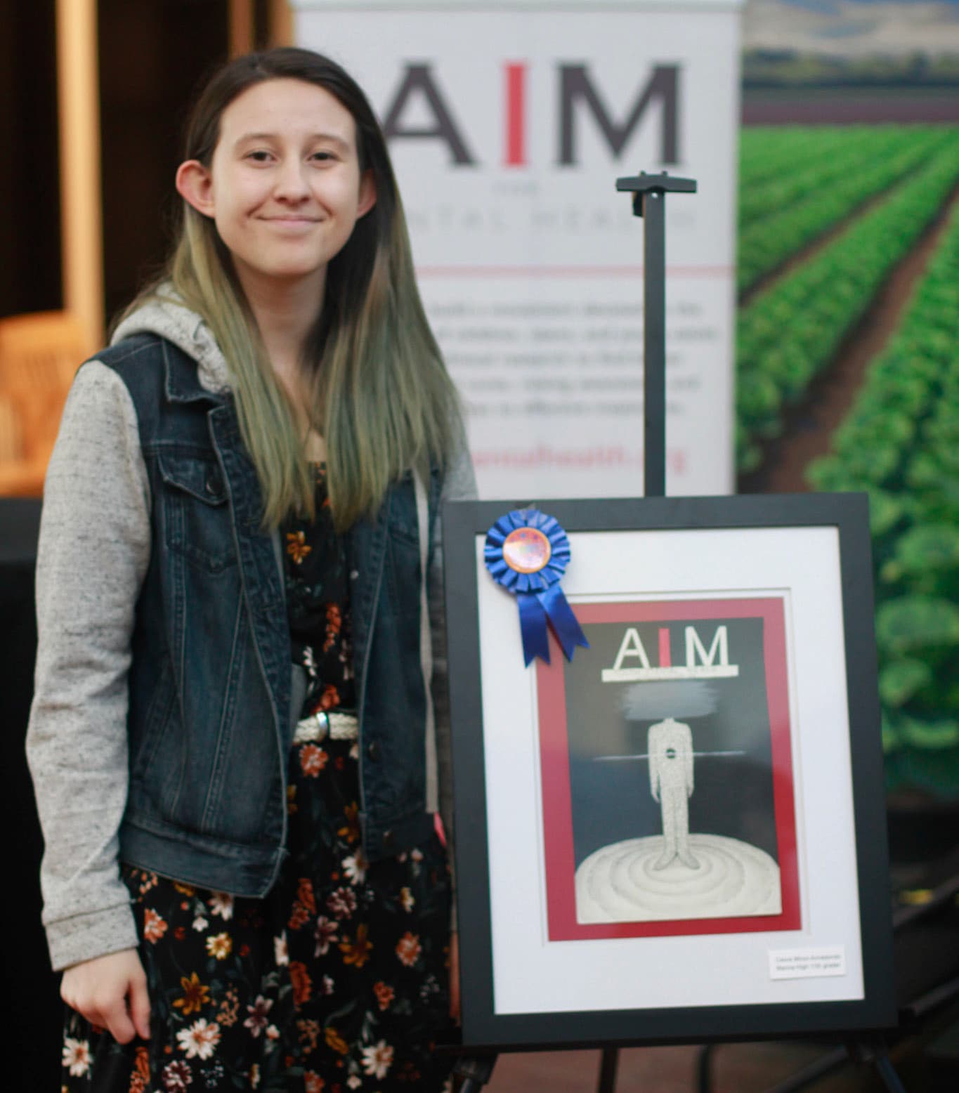 AIM Design Challenge (results) - AIM Youth Mental Health